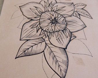 Clematis plant | Etsy