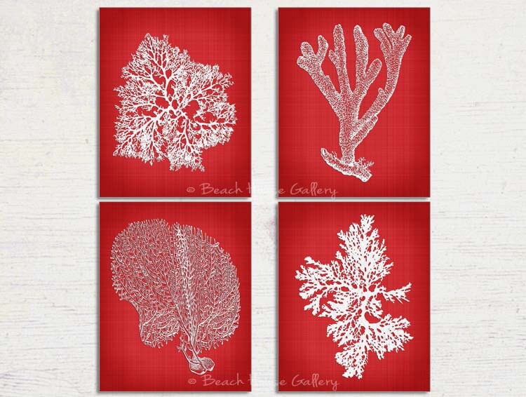 Red Coral Red Sea Coral Print Red Seaweed Print Red Coral