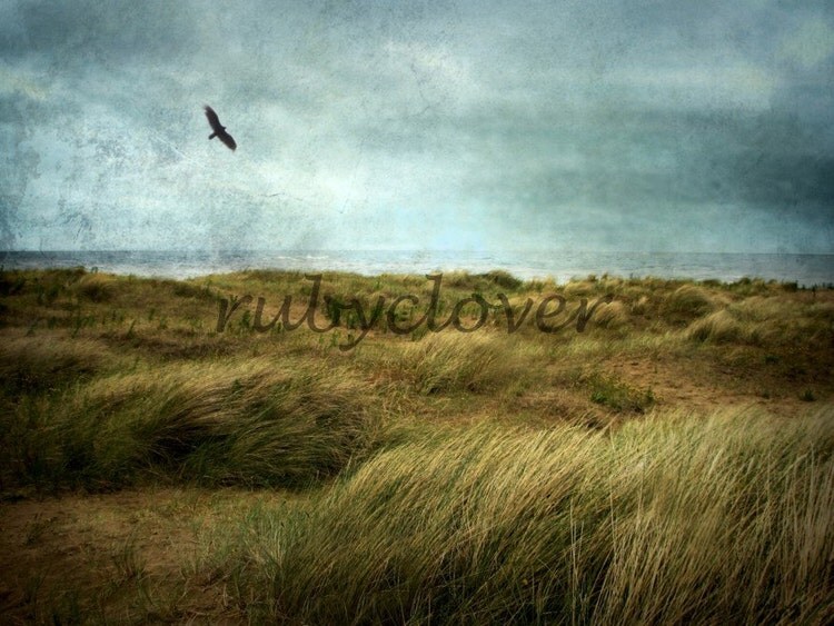 RAVEN Over Head Fine Art Photograph IRELAND by rubyclover on Etsy