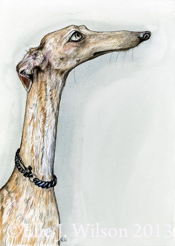 Greyhound Art Dog Print Lurcher