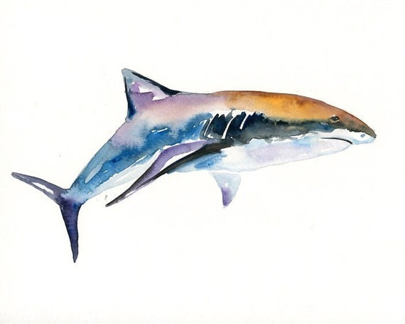 SHARK Original watercolor painting 10X8inch