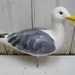 Vintage Seagull Concrete Cement sculpture Signed and numbered