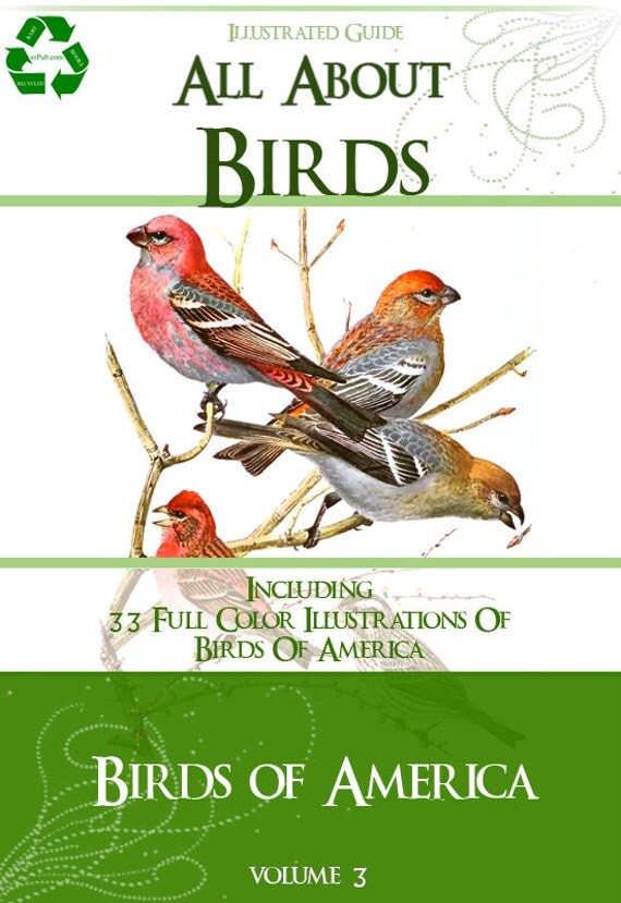 All ABOUT BIRDS of AMERICA Volume 3 Rare illustrated Guide 340