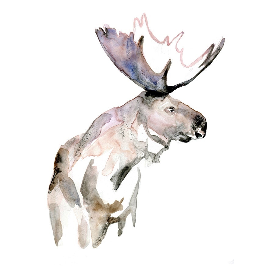 ORIGINAL Moose Watercolor painting Moose ART Watercolor