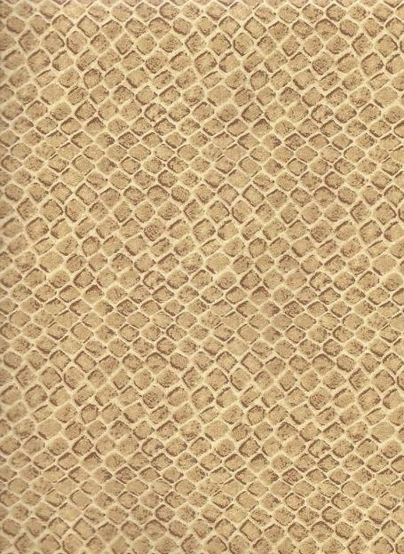 Reptile Scales Texture Snake