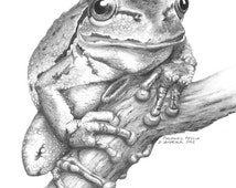Popular items for drawings of frogs on Etsy