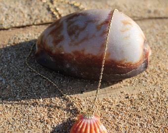 Handmade Maui Sunrise Shell Necklace