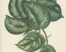 Unique pathos related items | Etsy