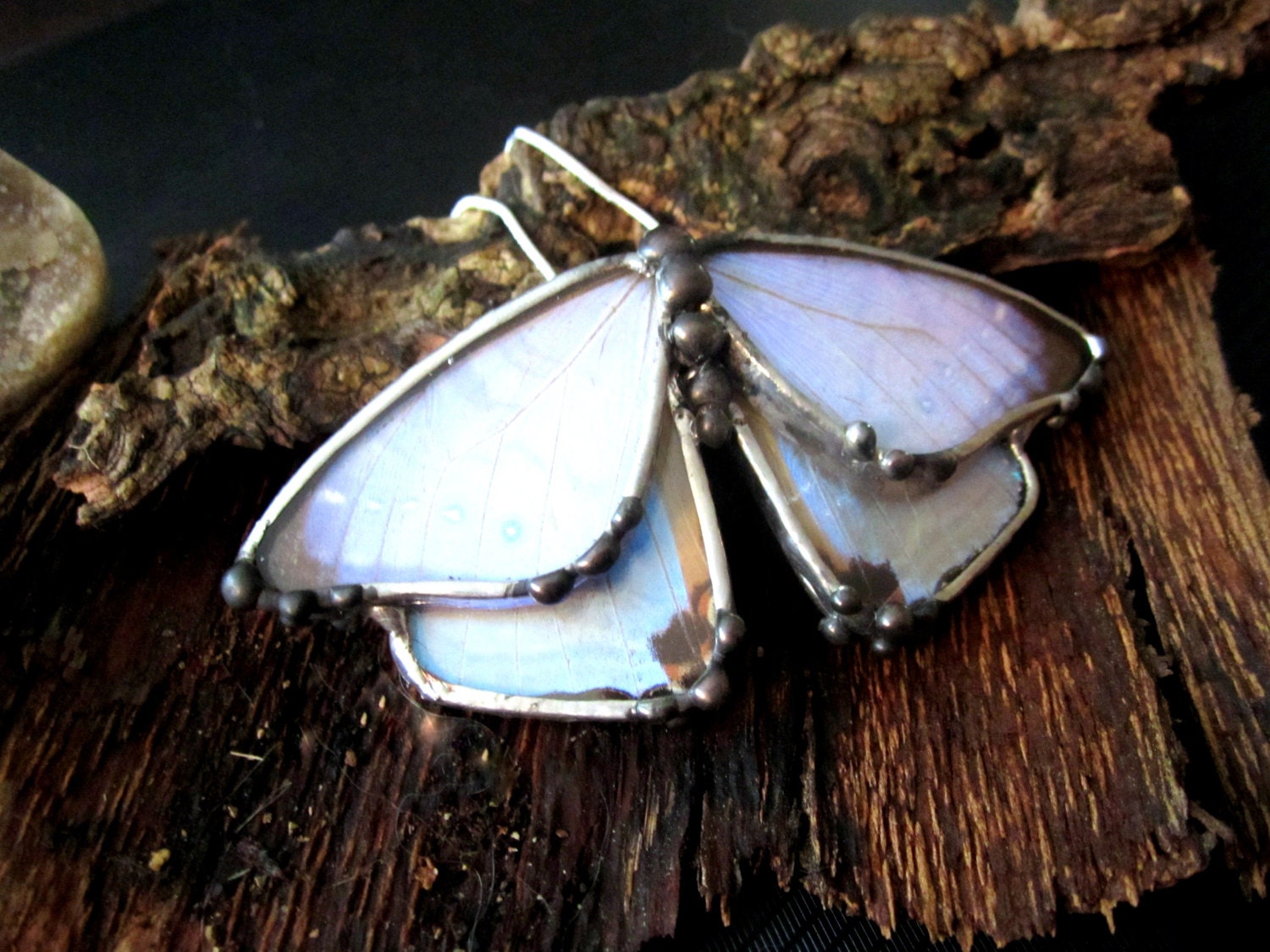 Real Butterfly Wing Necklace Morpho by DebrasDivineDesigns