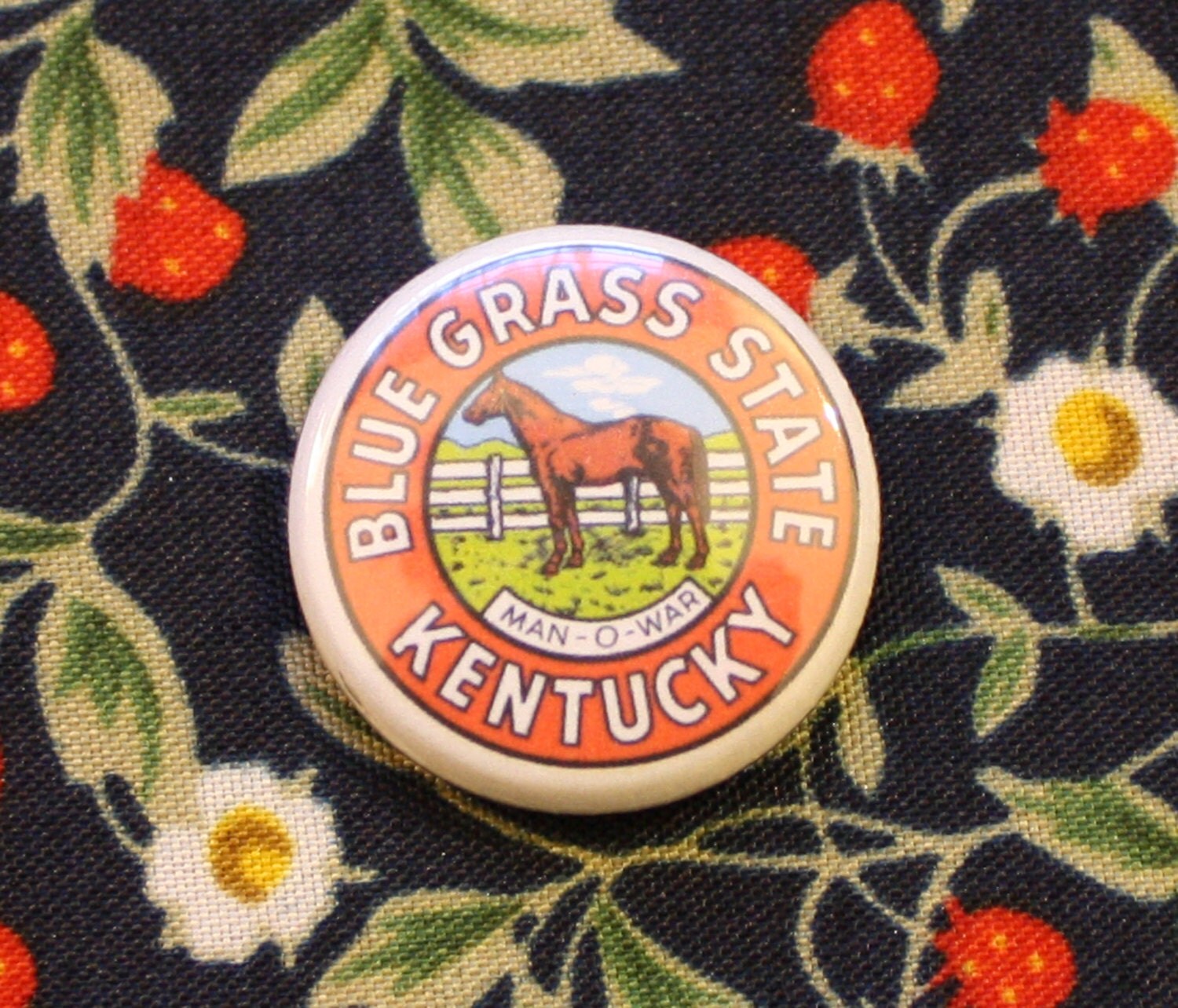 Kentucky 1″ Button Pinback VTG Blue Grass Bluegrass State Hometown ...