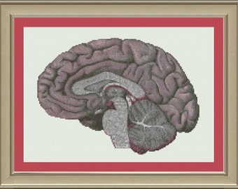 PET scan of brain: science cross-stitch by nerdylittlestitcher