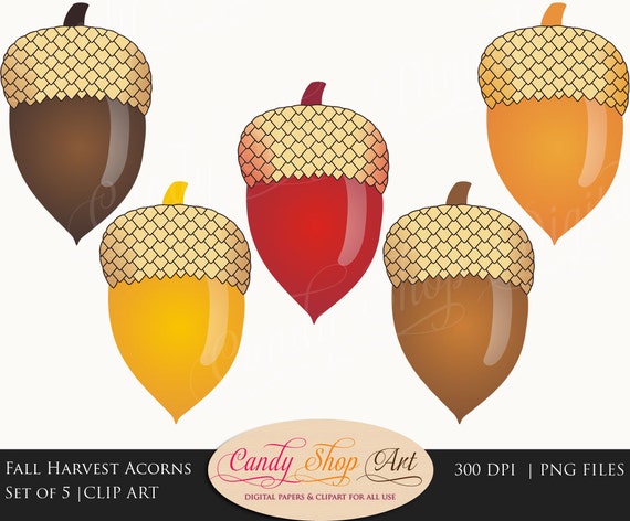 Instant Download Fall Acorns Clipart Acorn Clipart Fall