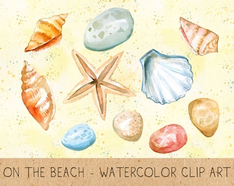 Shells Clipart Clip Art Ocean Beach Summer Clipart Clip Art