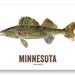 Minnesota State Fish Map art Nature Outdoor art Vintage Map