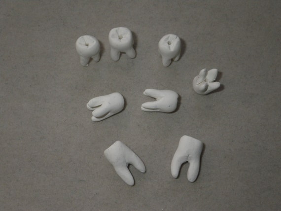 Polymer clay tooth teeth beads molars bicuspids by TattingByWendy