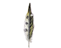 Popular items for feather study on Etsy