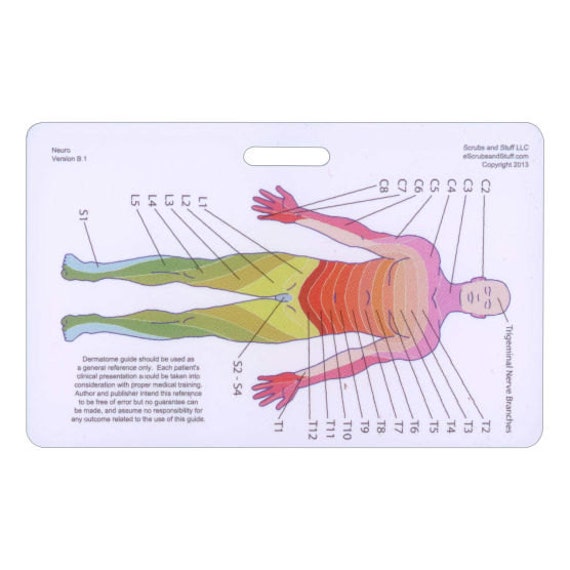 Dermatome Badge Pocket Card Horizontal for Nurse Paramedic EMT