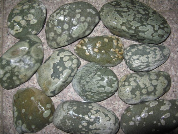 12 Turtle Rocks 2.5 4 NW Native Rock Natural