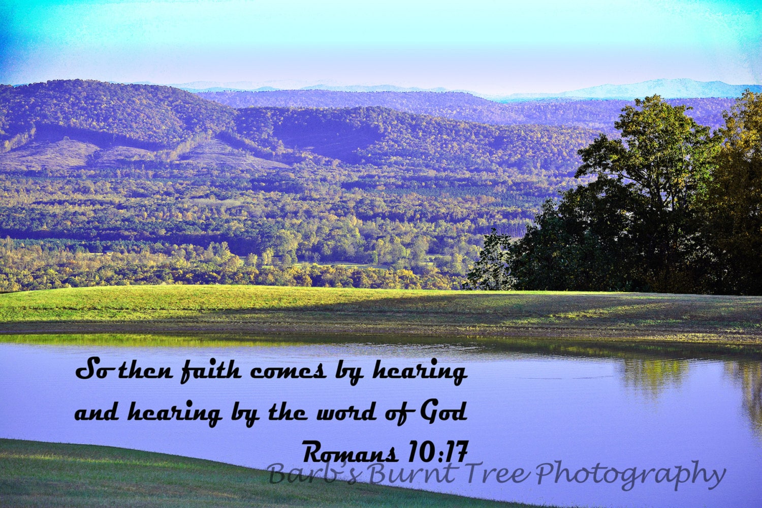 Wall Art...Scenic Bible Scripture Verses Series by BarbsBurntTree