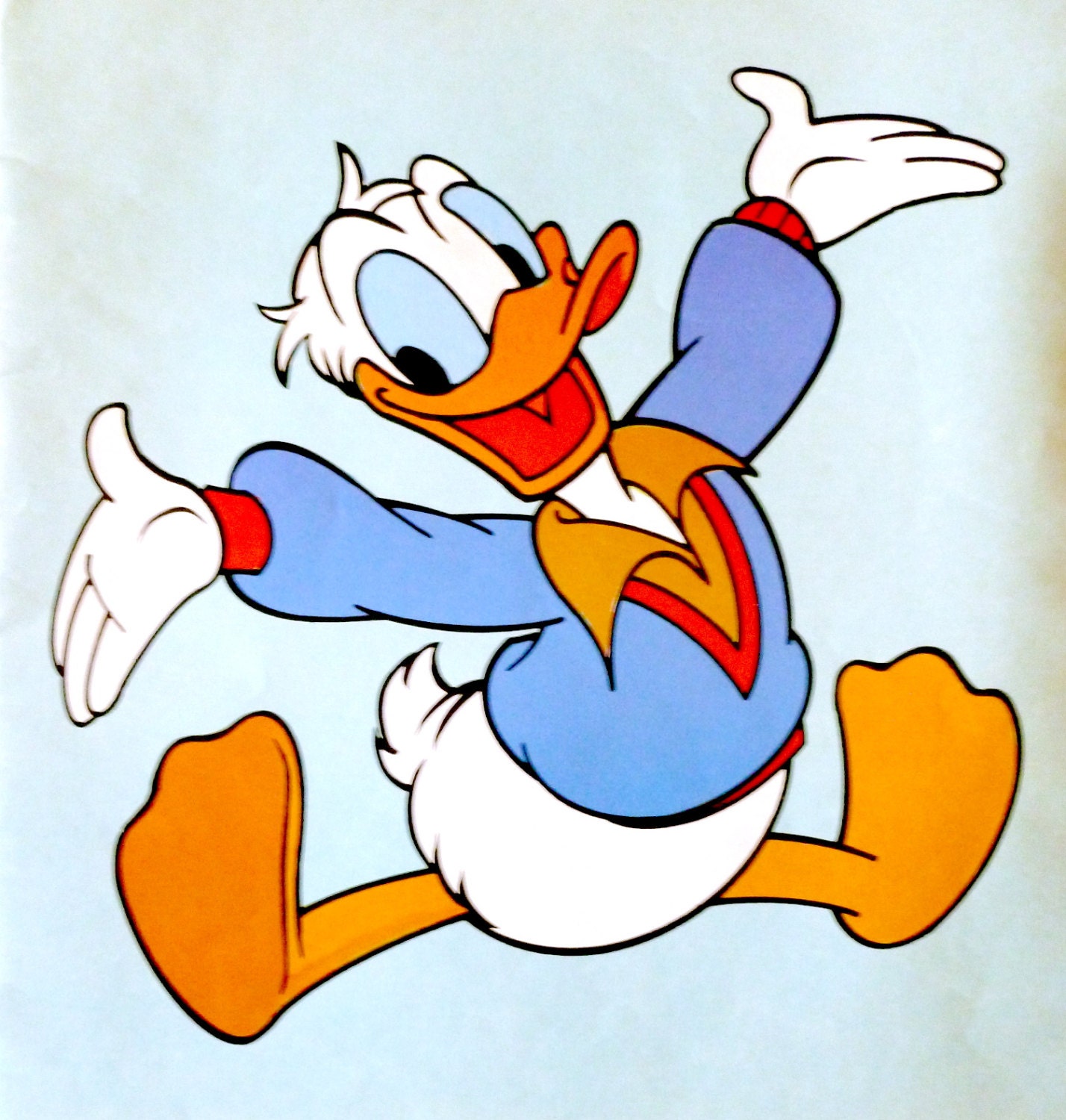 Vintage Poster 1980's Disney's Donald Duck Suitable