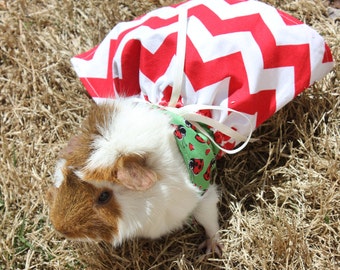 Popular items for guinea pig clothes on Etsy