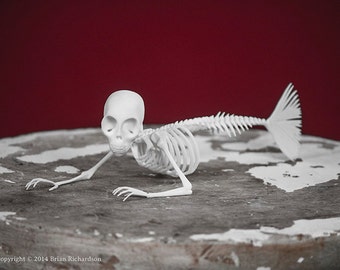 Cthulhu Skeleton 3D Print Taxidermy by MythicArticulations on Etsy