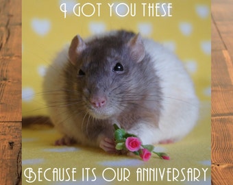 Popular items for happy anniversary card on Etsy