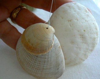 Unique sea shells beads related items | Etsy