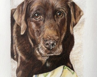 Original Drawing of your Dog -Custom Pet Portrait-colored pencil ...