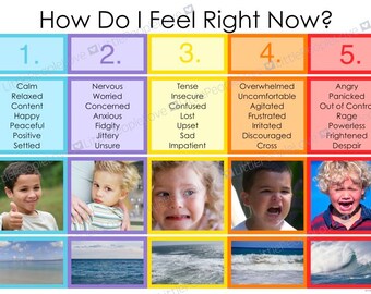 Traffic Light Behaviour Cards Third Person
