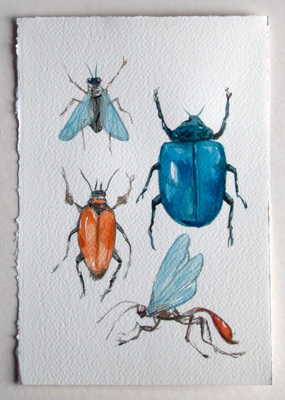 Insects and bugs watercolor painting. Nature illustration.