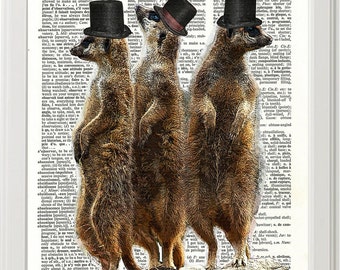 Popular items for meerkat print on Etsy