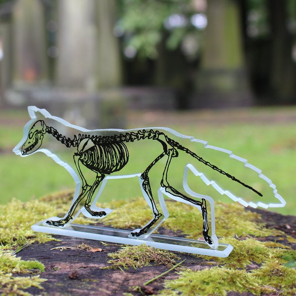 Skeleton Fox Glass Sculpture Screen Print by flyingcheesetoastie