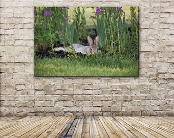 Purple bunny rabbit | Etsy