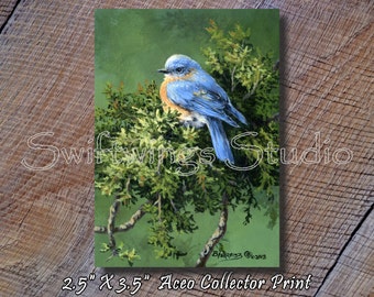 Bluebird print | Etsy