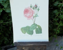 Popular items for pink rose print on Etsy
