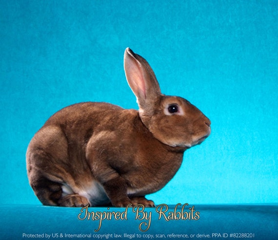 Unavailable Listing on Etsy