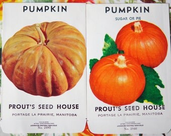 Vintage seed packets | Etsy