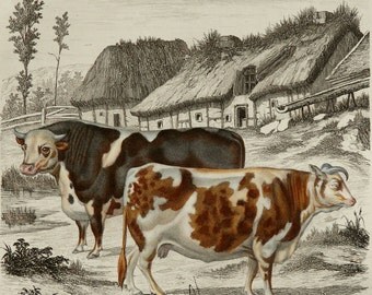 Unique cow plate related items | Etsy