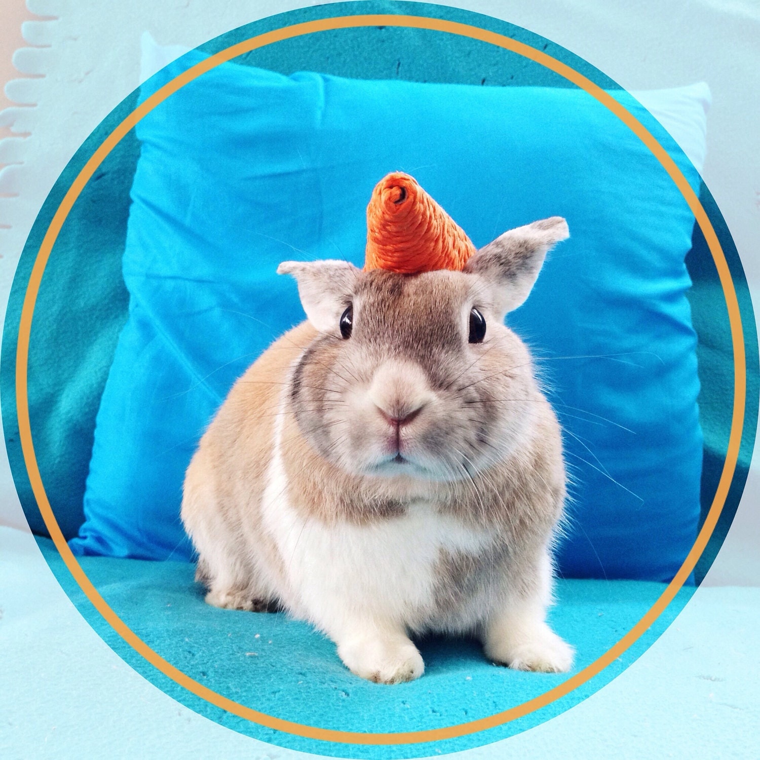 shop for all-things-bunny by BunnyDiary on Etsy