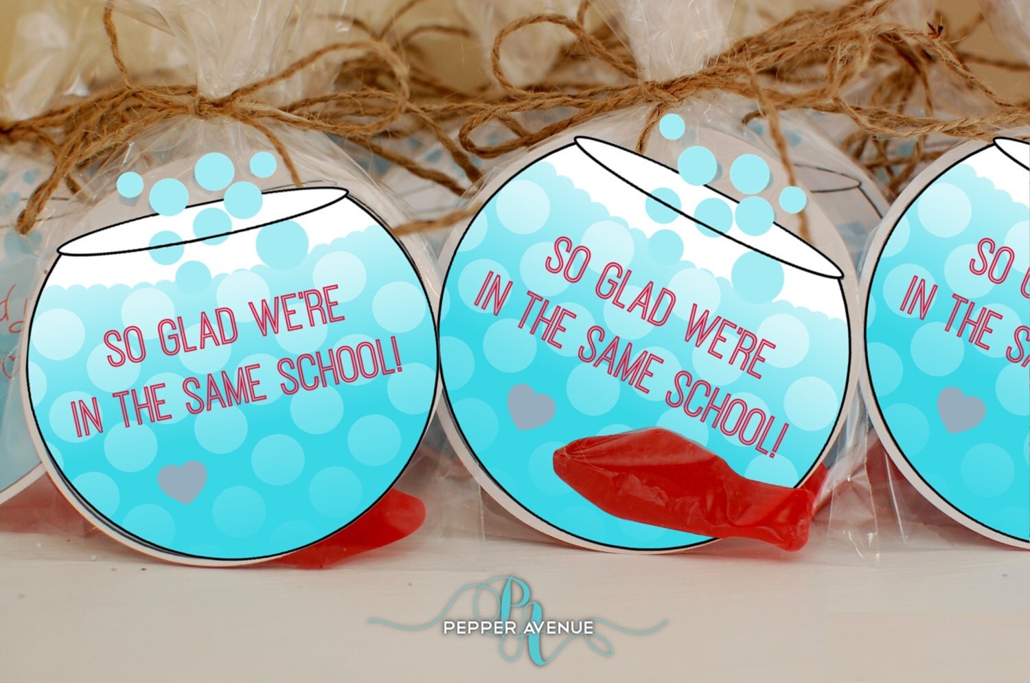 Back to School 'So glad we're in the same school'