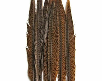 Chukar feathers 1 Pack NATURAL CHUKAR by MoonlightFeatherInc