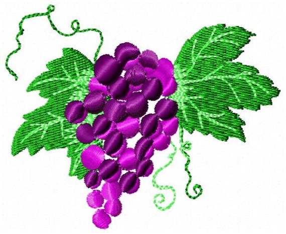 Grapes Embroidery Design Instant Download by JEmbroiderynApplique