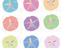 Unique sand dollar clip art related items | Etsy