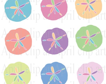 Sand dollar clip art | Etsy