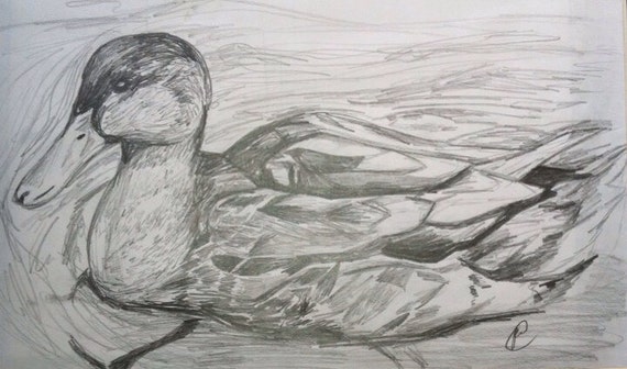 Original Artwork Duck Pencil Sketch by HandCraftedByRach on Etsy