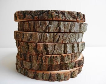 Wood Slices, Tree Slices, 7" Wood Slices, Wood Slabs, Centerpiece ...