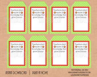 Printable Teacher Appreciation Gift Tags You're the Apple