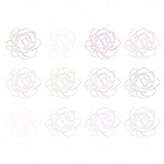 Premium Rose Vectors Roses Clip Art Rose Clipart in by AmandaIlkov