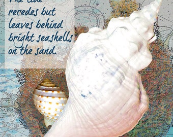 Popular items for shells quote on Etsy